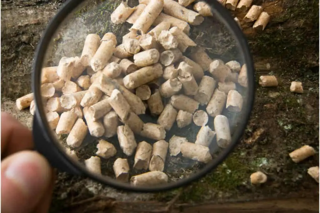 How To Make Wood Pellets – Master The Flames
