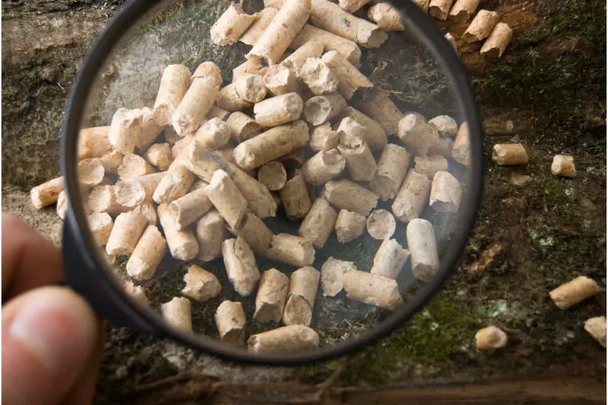 How To Make Wood Pellets – Master The Flames